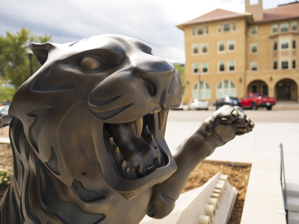 Sam Nystrom-Costales – The Catalyst